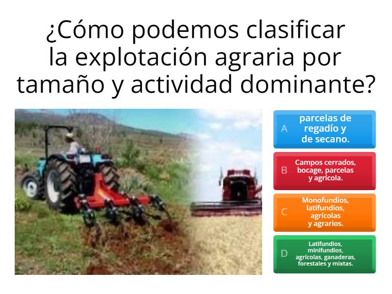 Sector primario - Quiz