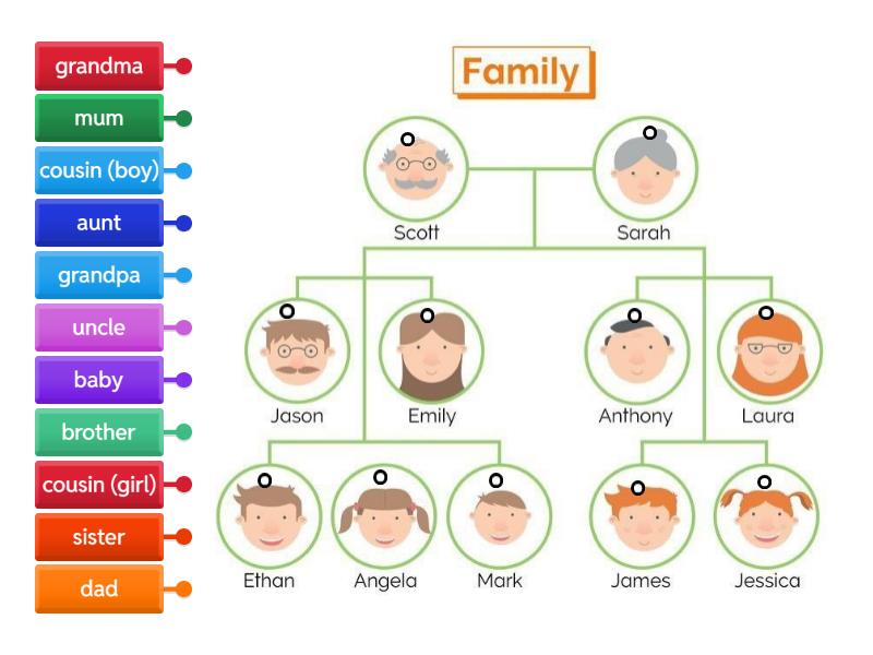 family tree - Labelled diagram