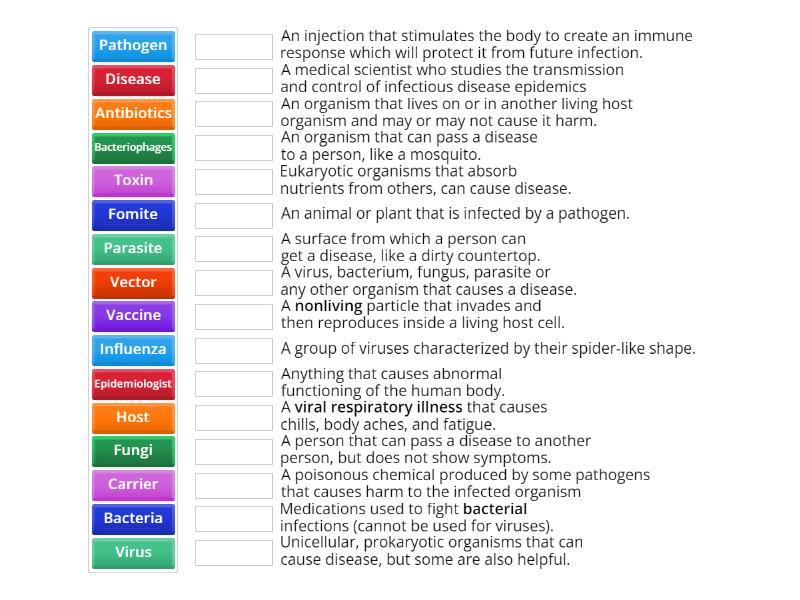 Pathogens - Vocabulary Match - Match up