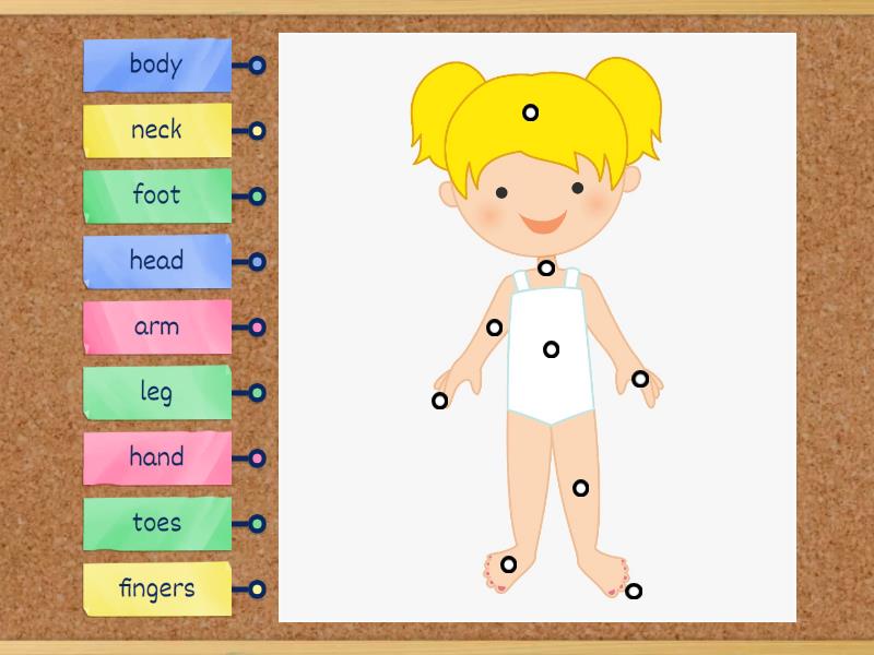 Go Getter (1) 4.2 Parts of the body - Labelled diagram