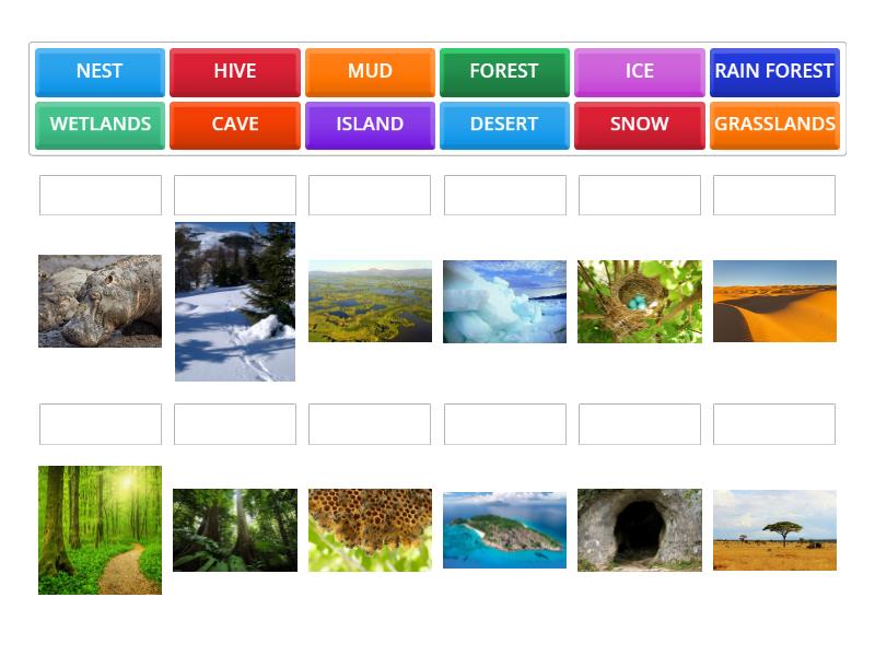 Animal habitat - Match up
