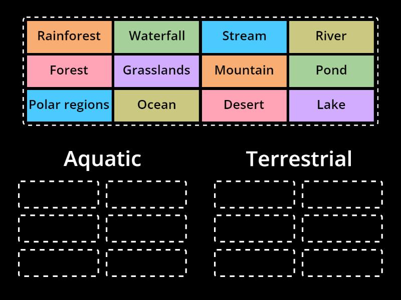 8 - Aquatic or Terrestrial ecosystems - Group sort