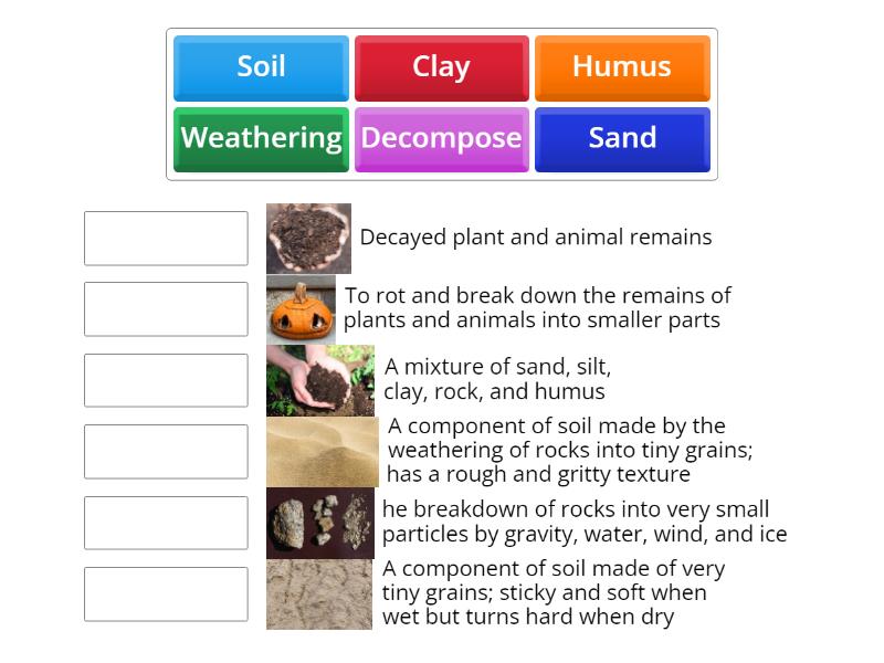 Soil Vocabulary - Match up