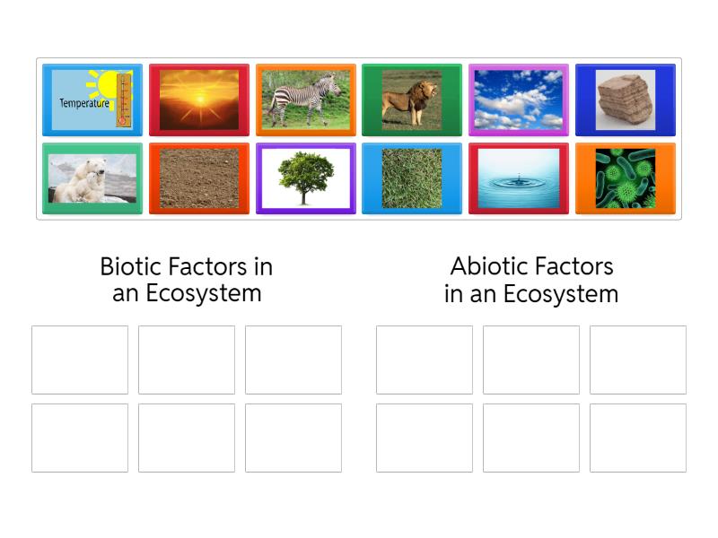 Biotic and Abiotic Factors - Group sort