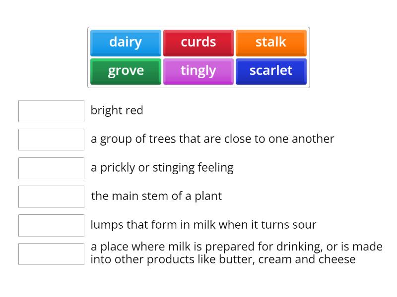 How Did That Get in My Lunchbox?-vocabulary - Match up