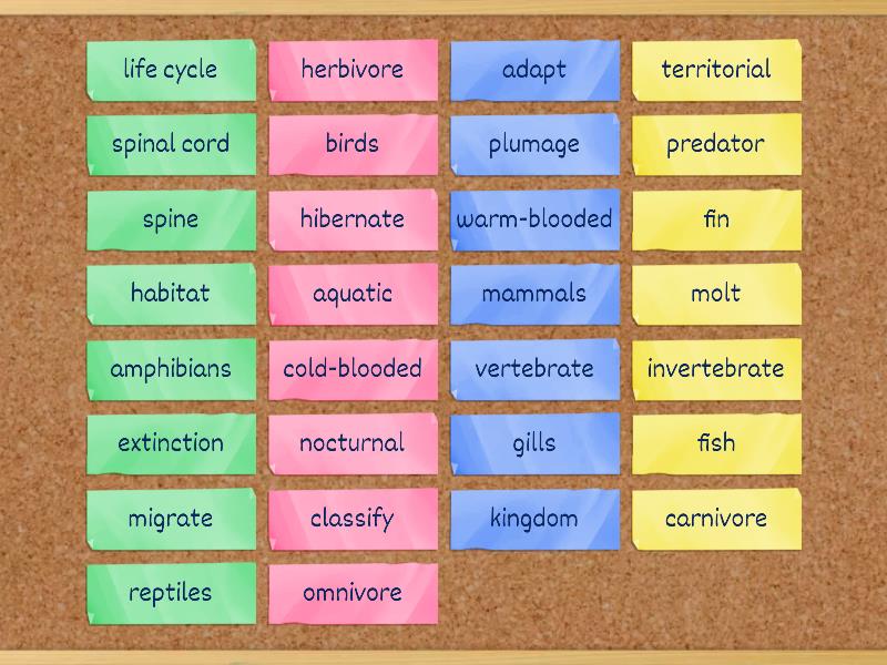 Animal Classification Vocabulary - Flip tiles