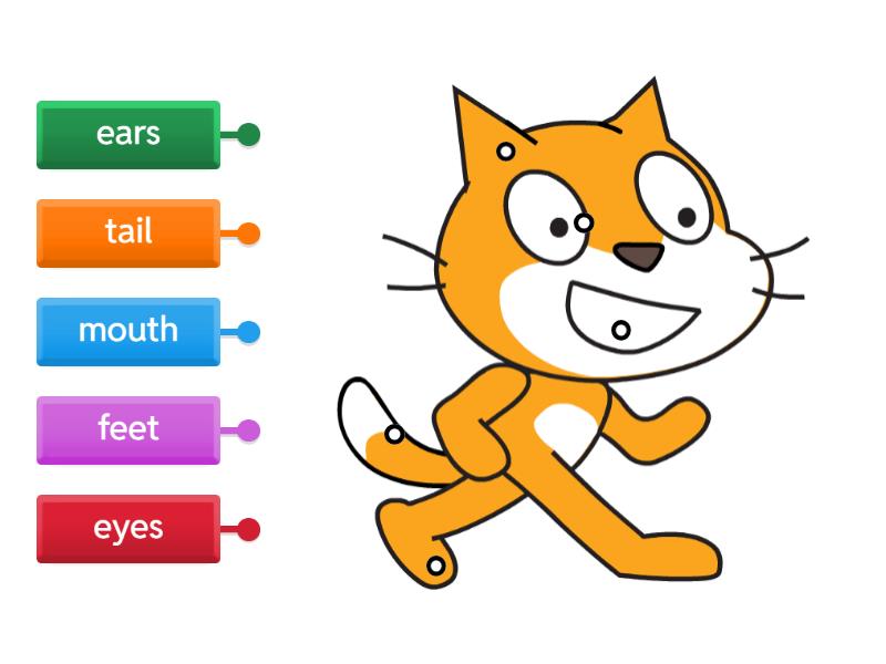 label the cat - Labelled diagram