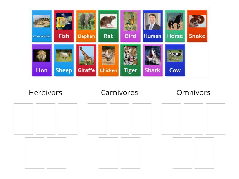 Herbivores Carnivores Omnivores - Group sort