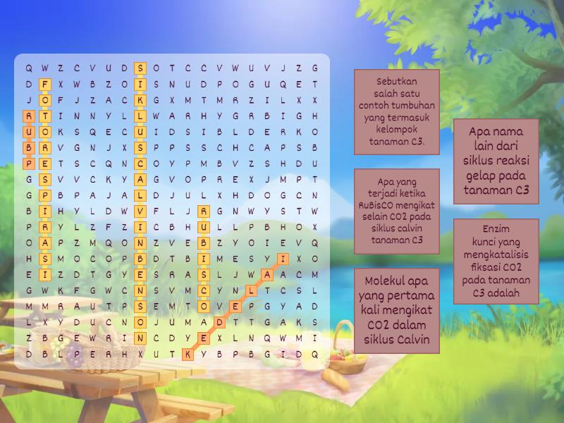 Kuis Materi Reaksi Gelap Tanaman C3 - Wordsearch