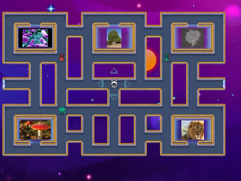 KINGDOMS OF life - Maze chase