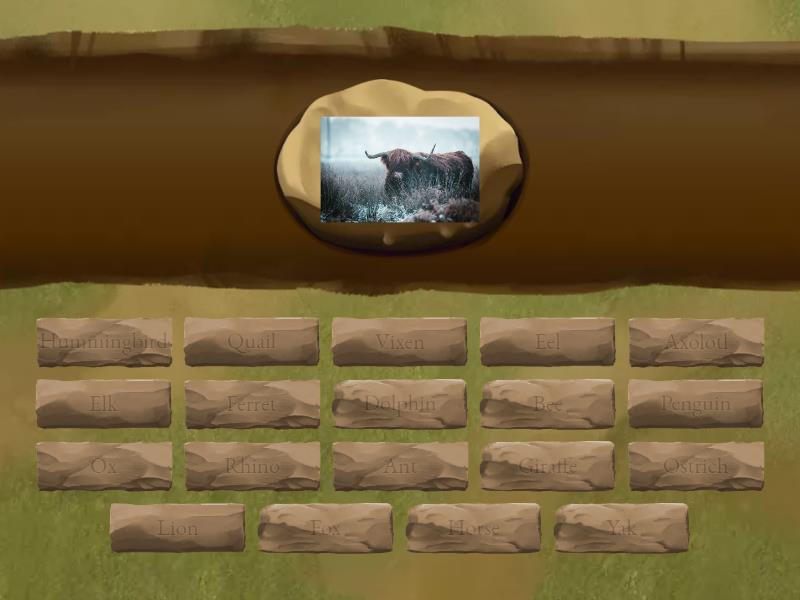 Animals - Cada oveja con su pareja