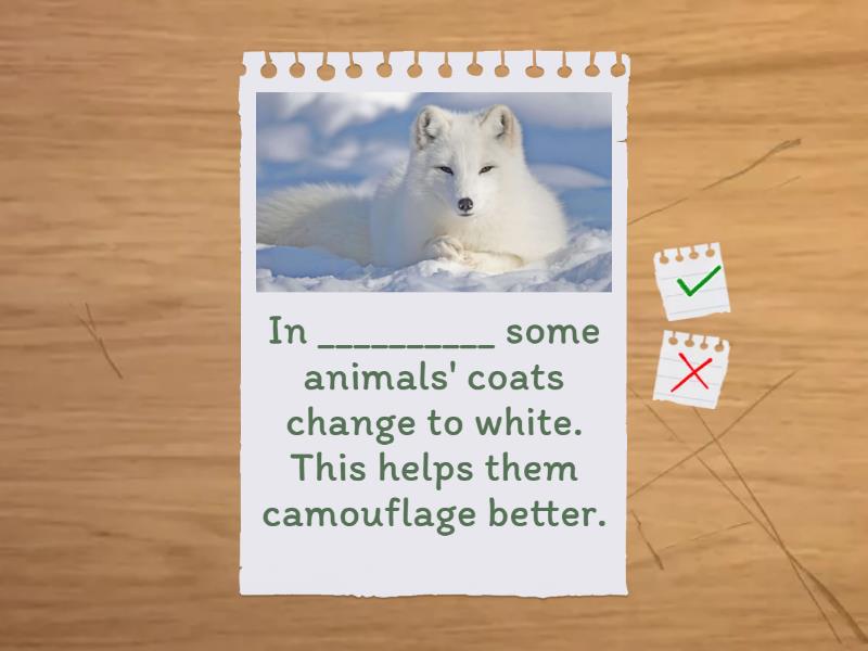 Vocabulary Wordwall Week 14 (Wolf Island) - Flash cards