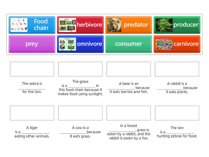 food chains lesson 2 activate - Match up