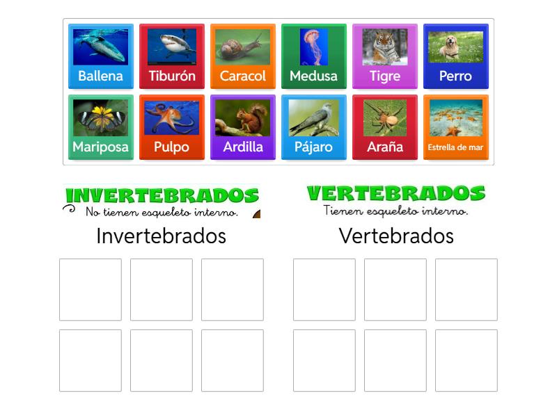 Clasificación de animales vertebrados e invertebrados - Group sort