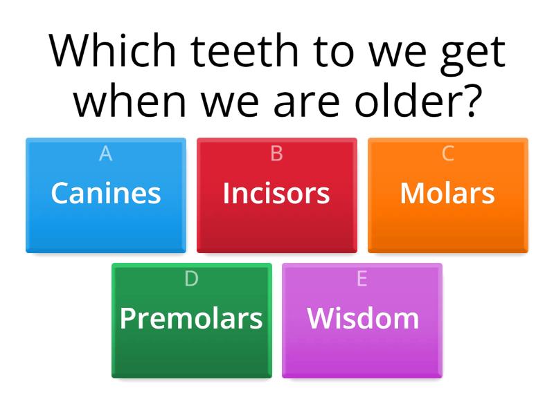 Teeth Recp - Quiz