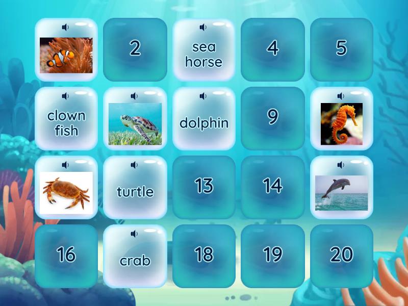 Sea Animals (Match Up) - Matching pairs