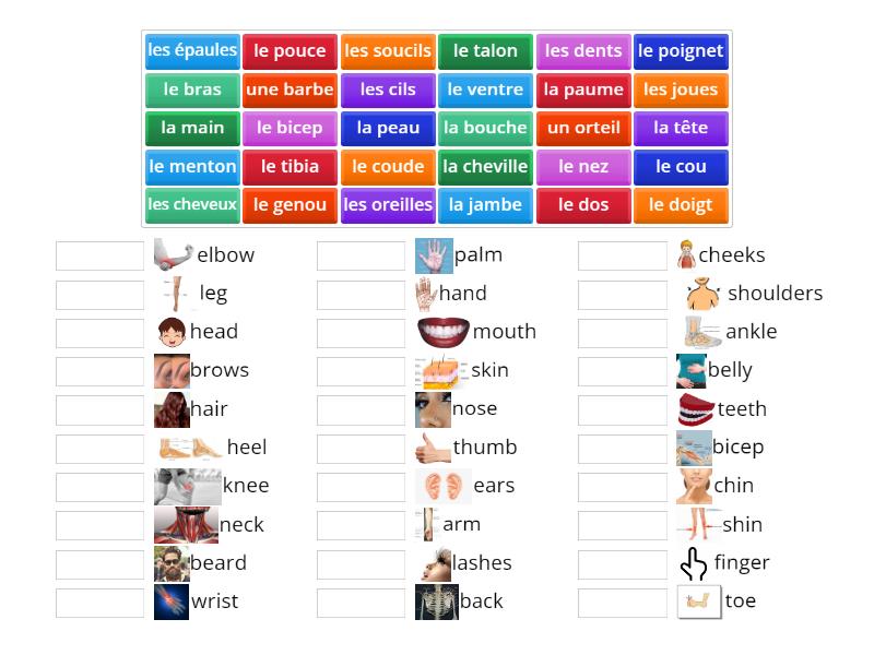 le corps/ the body - Une las parejas