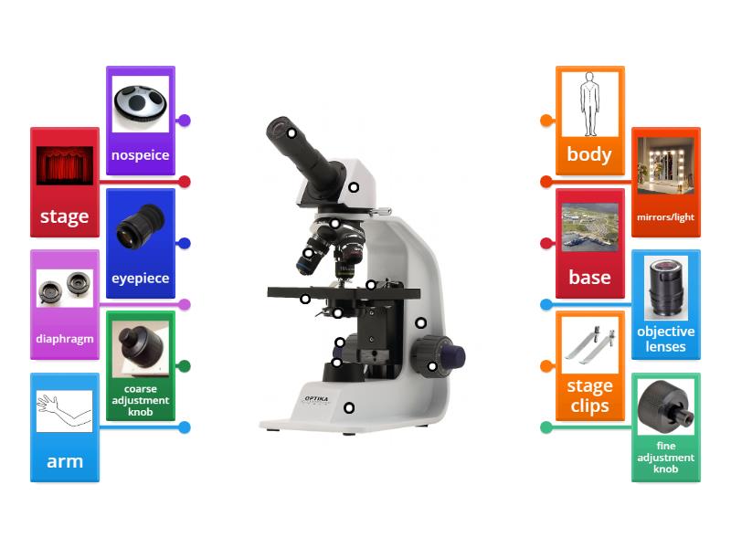 game - Labelled diagram