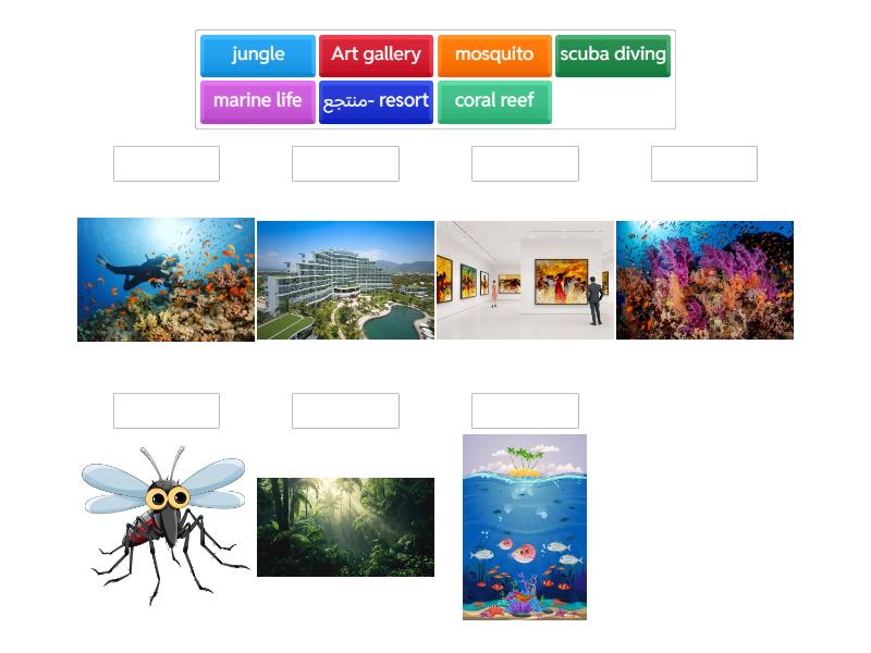 SG2 U12 Vocabs - Match up