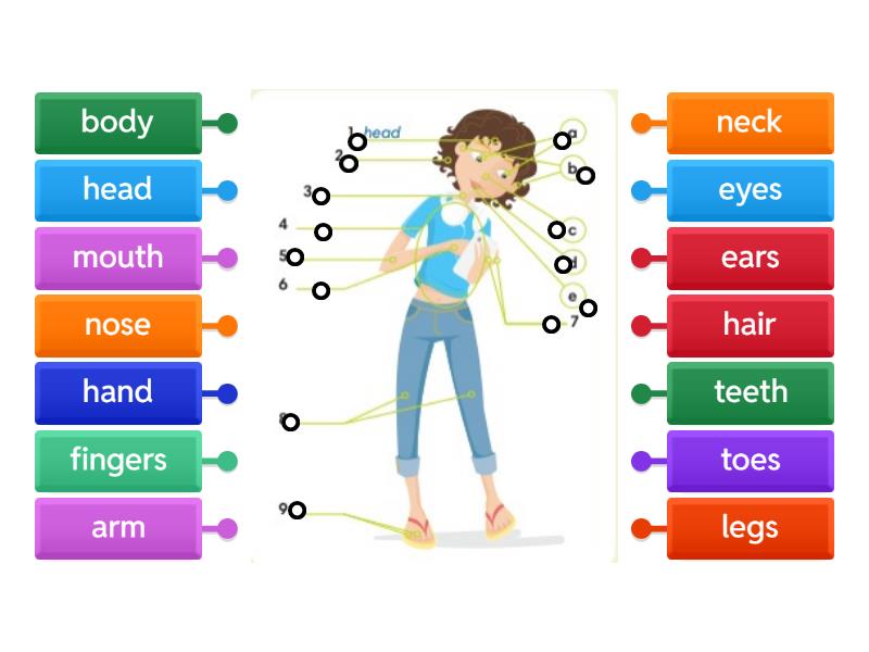 Go getter 1. Unit 4. (Language Revision) - Labelled diagram