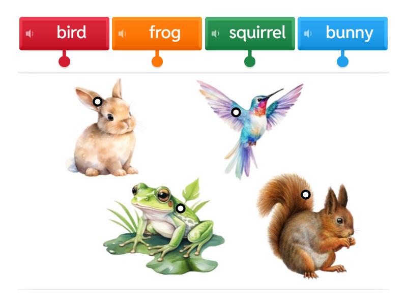 Label the animals - Labelled diagram
