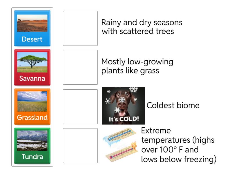 Biomes 1-4 - Match up