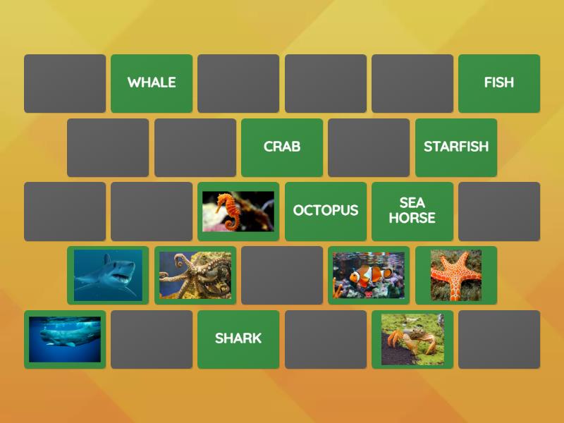 Memory game Sea animals - Matching pairs