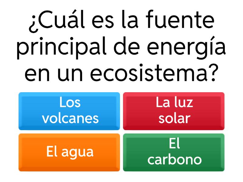 Flujo de Energía en los Ecosistemas - Cuestionario