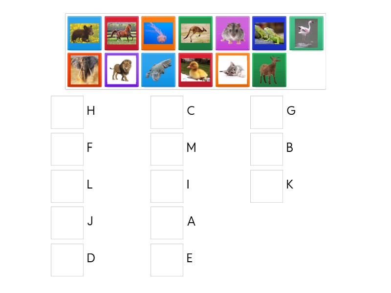 Animal Alphabet - Match up