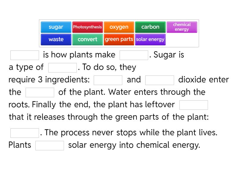 Photosynthesis Fill-in-the-blank - Complete the sentence