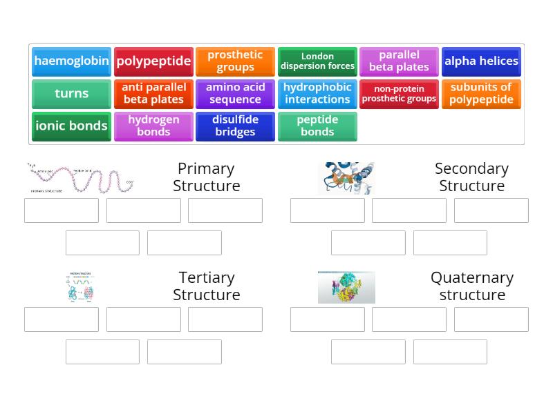 AH 2.1 Protein Structure - Group sort