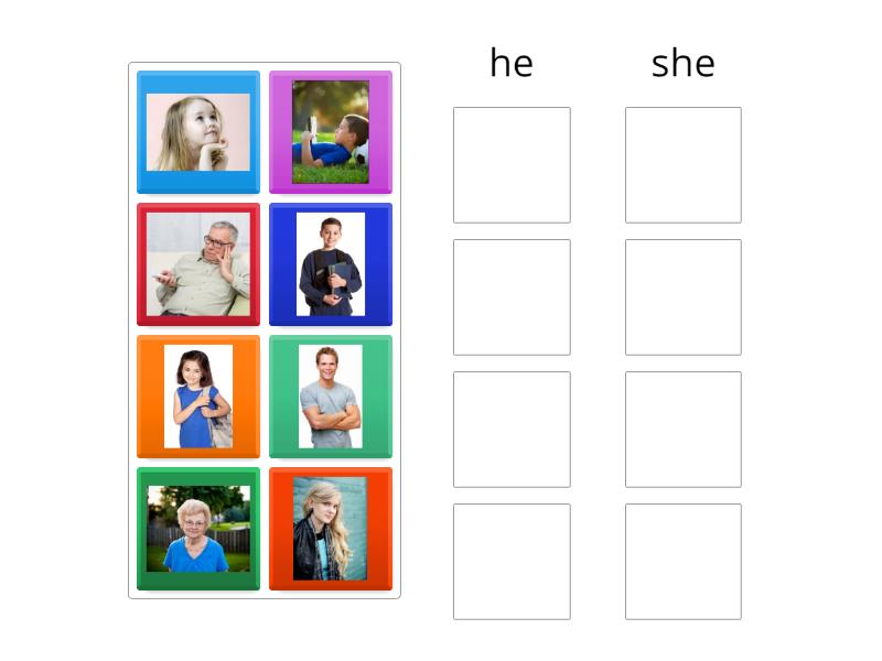 He, she or it? - Group sort