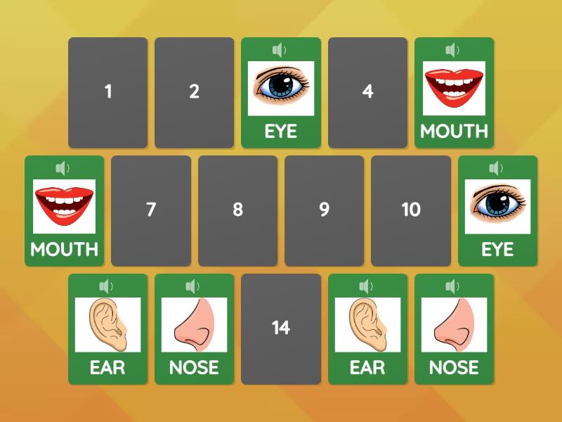 Memory game - Body parts - Combine os pares