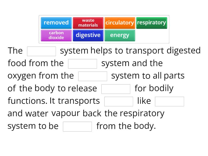 Respiratory, Digestive and Circulatory system working together ...