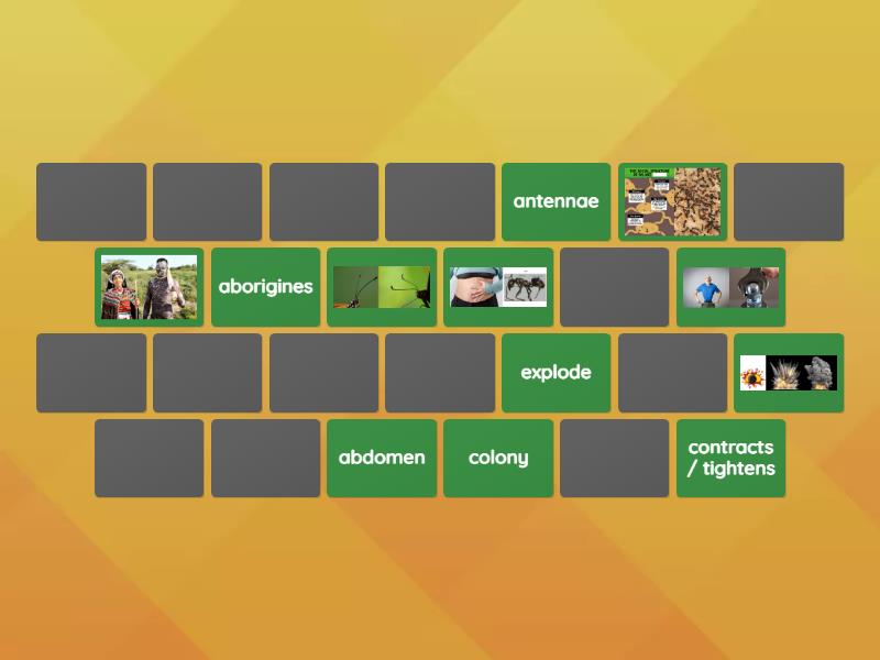 WK2 Vocab Exploding ants - Matching pairs