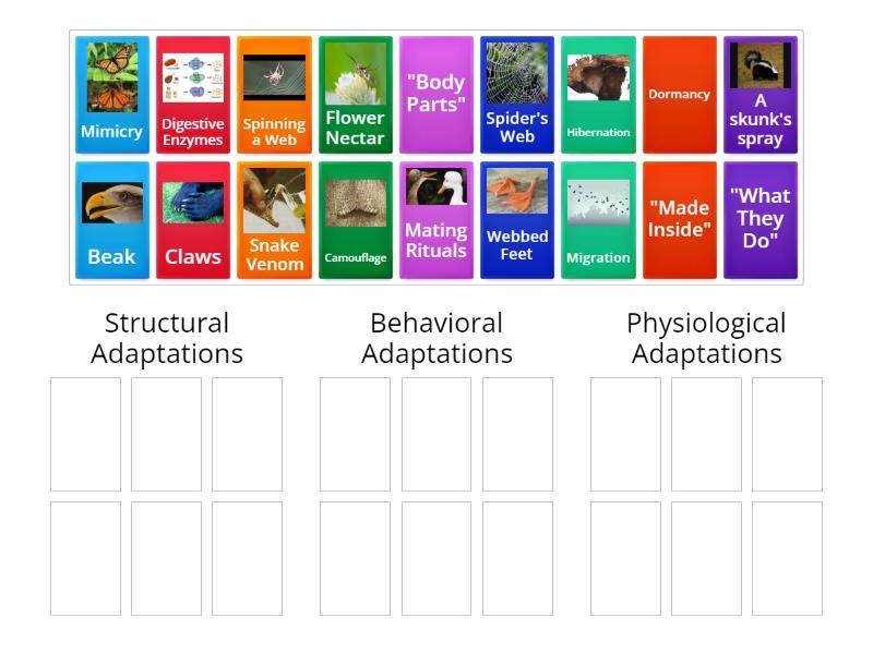 Adaptations - Group sort
