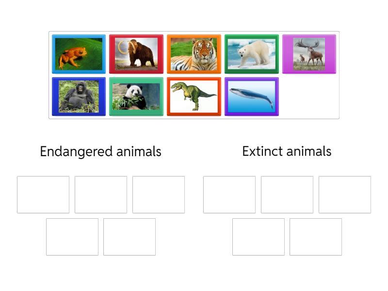 Extinct and endangered animals - Group sort