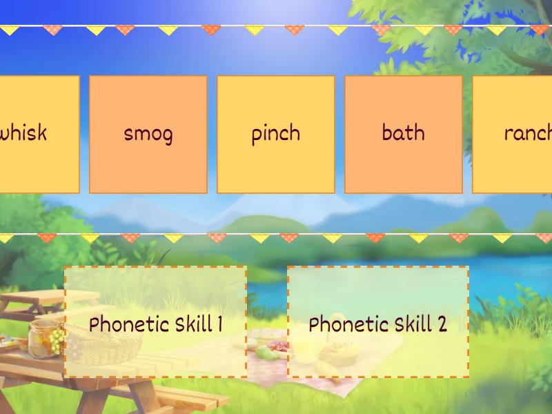 Lesson 14 Practice Phonetic Skills 1 and 2 - Speed sorting
