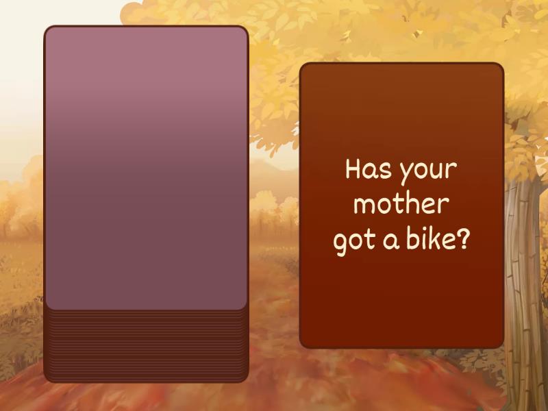 Have got/Has got - - Speaking cards