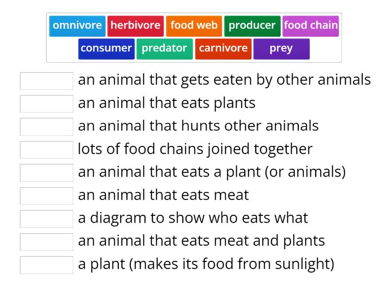 Interdependence Key words - Match up