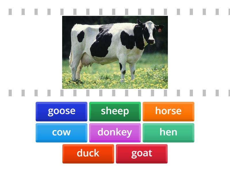 Family and friends 2 unit 13 - Find the match