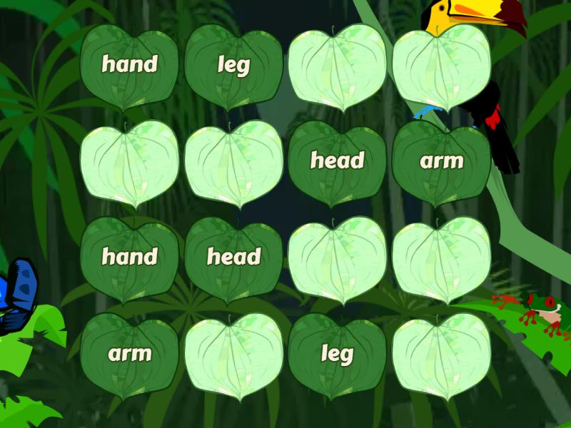 SM 1 Unit 8 - Matching pairs