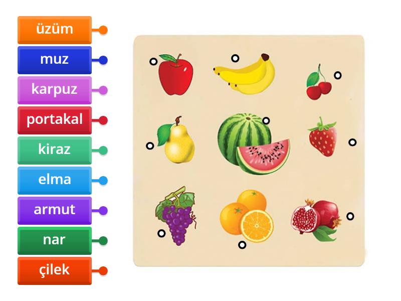 meyveler - Labelled diagram