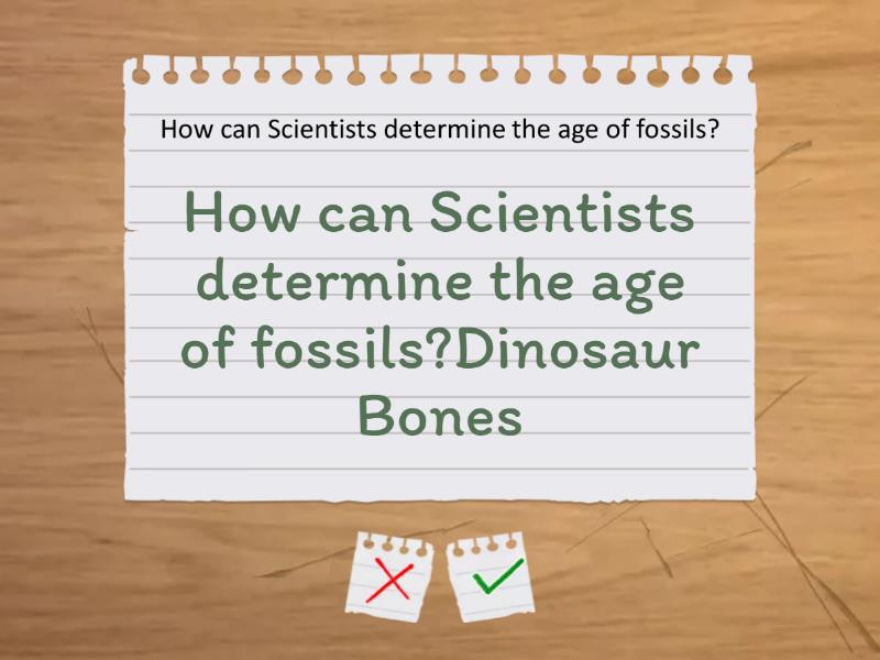 Fossils Quiz - Flash cards