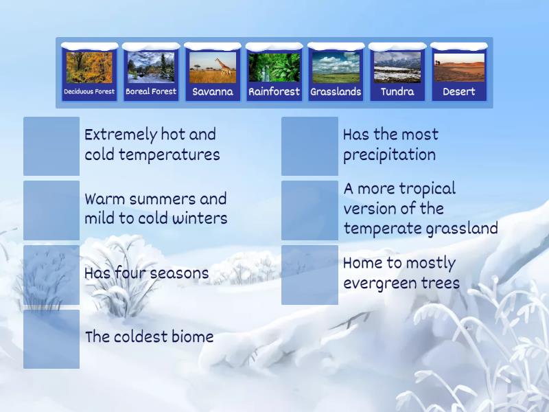 Biomes Review - Match up