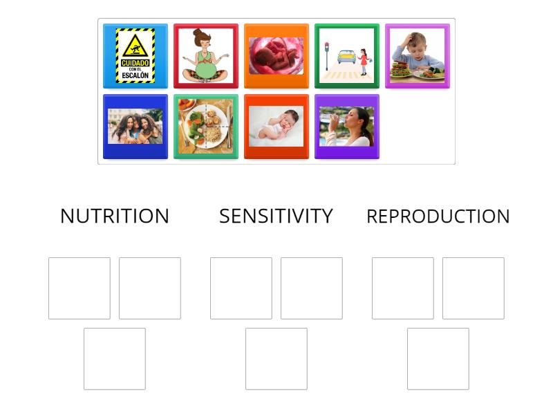 LIFE PROCESSES - Group sort