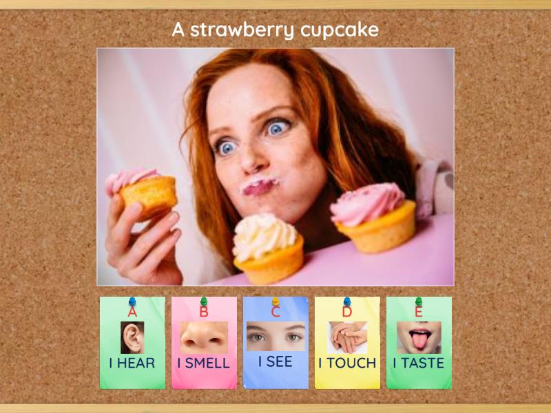 The five senses: Quiz - Kuis