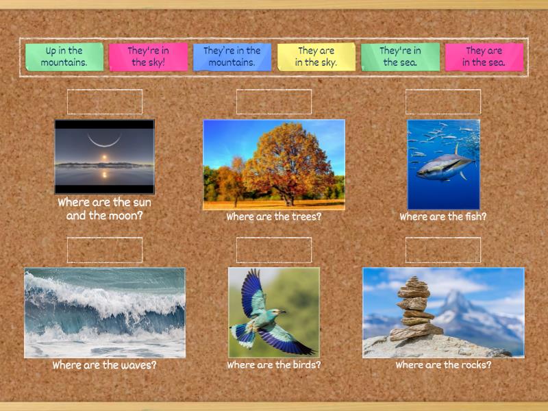 Our world 1 unit 2 song Nature - Match up