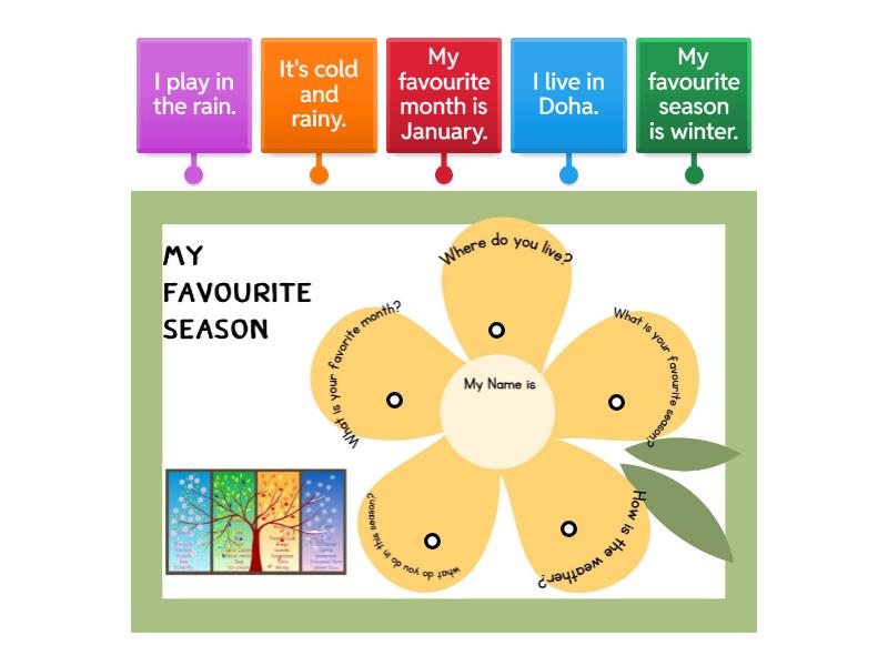 M6- project 1 graphic organizer - Diagrama con etiquetas
