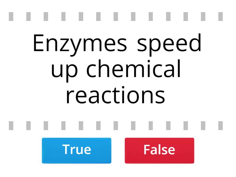 Station 2b. Enzyme - True or false